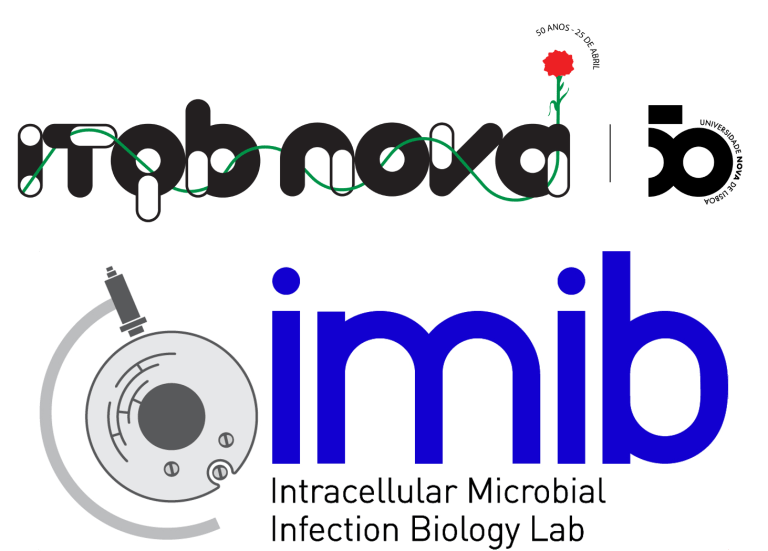 IMIBlab – Exploring the Dynamics of Host-Pathogen Interactions at the ...
